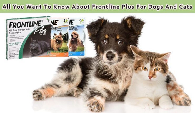 All You Want To Know About Frontline Plus For Dogs And Cats ...