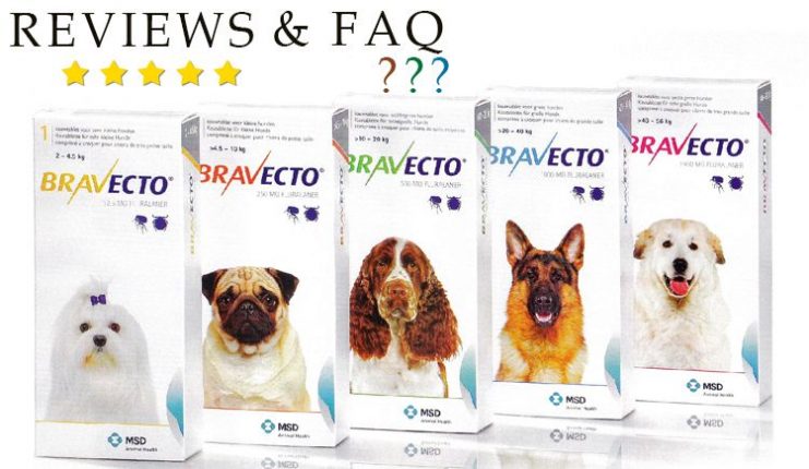 Bravecto Reviews & FAQs - CanadaPetCare Blog