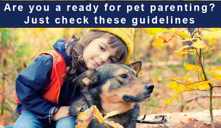 Are You A Ready For Pet Parenting? Just Check These Guidelines ...