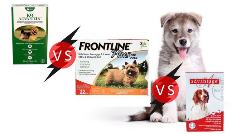 K9 Advantix Vs Frontline Plus Vs Advantage - Make A Better Choice This Summer - CanadaPetCare Blog