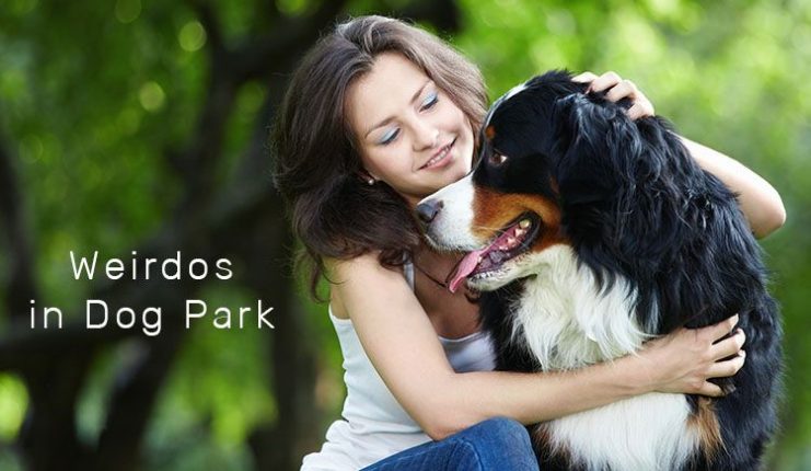 Personalities that You See During One of the Dog Park Visits... A Dog ...