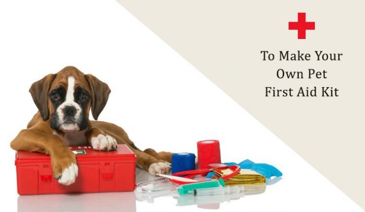 Easy Guide - To Make Your Own Pet First Aid Kit - CanadaPetCare Blog