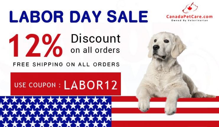 Commemorate Pet Safety On This Labor Day - CanadaPetCare Blog