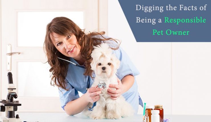 Digging The Facts Of Being A Responsible Pet Owner - CanadaPetCare Blog