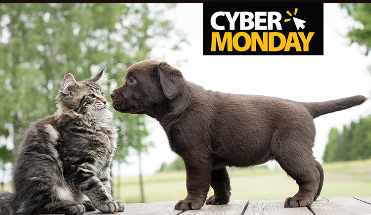 CanadaPetCare Blog - Your trusted online vet -CanadaPetCare Blog | Your ...