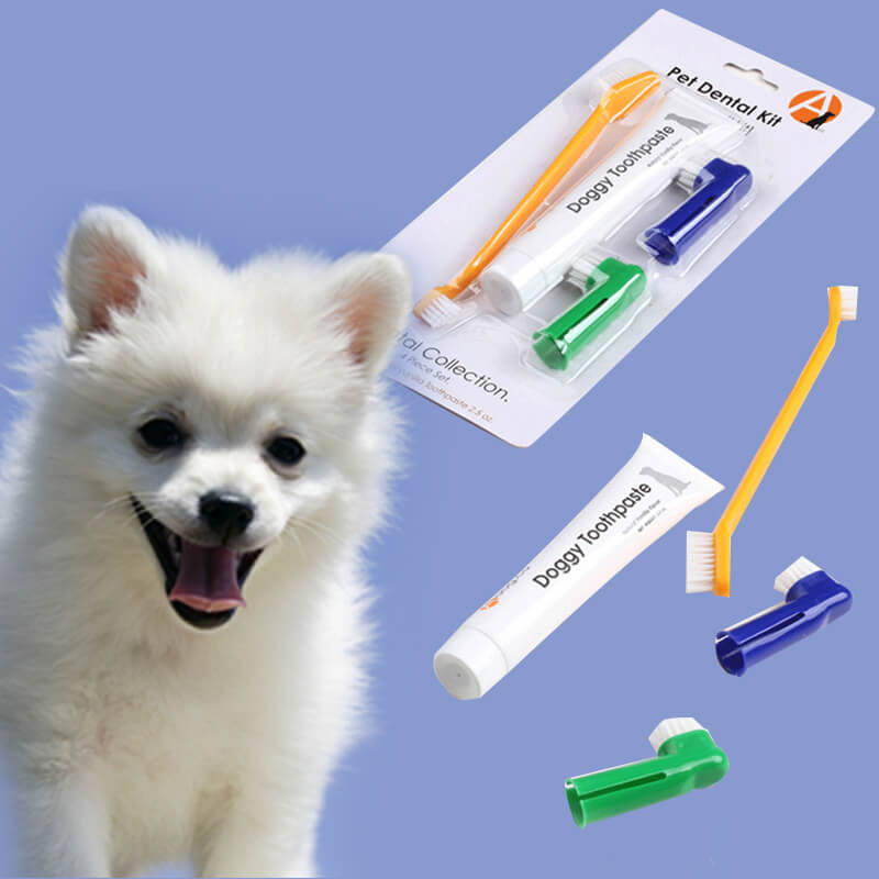 A Complete Action Program For Your Pet’s Dental Care - CanadaPetCare Blog