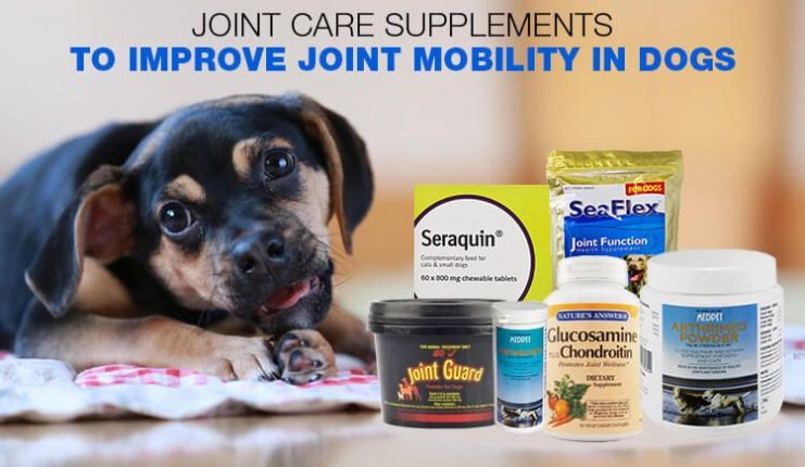 Joint Care Supplements to Improve Joint Mobility in Dogs ...
