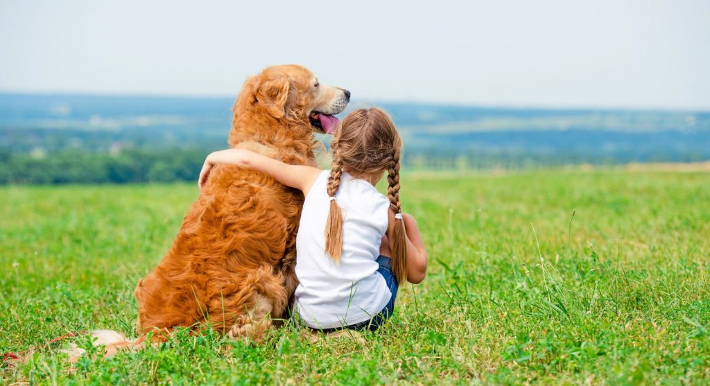 Why Spending Time With Your Pet Is So Important? - CanadaPetCare Blog