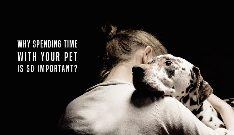 Why Spending Time With Your Pet Is So Important? - CanadaPetCare Blog