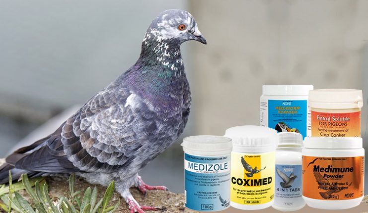 Top Selling Products That Cure Common Diseases in Birds - CanadaPetCare ...