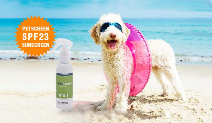 How to Prevent Sunburn In Dogs - CanadaPetCare Blog