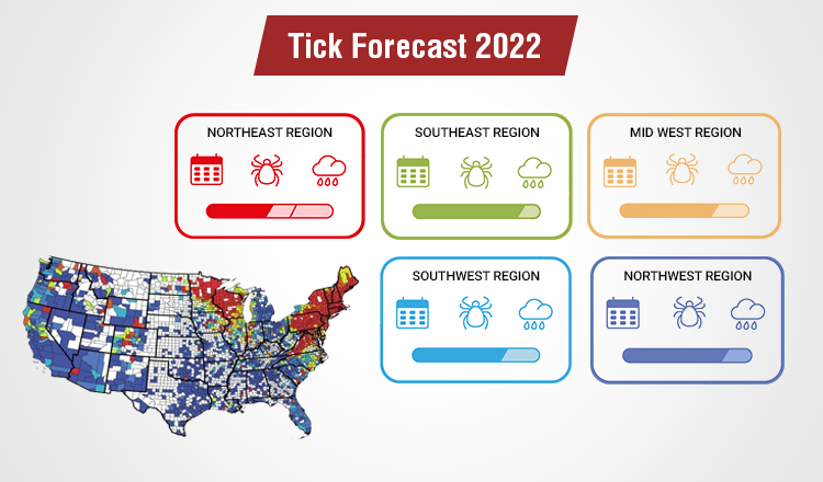 Tick Forecast 2022: Don’t Let Your Pet Become A Flea & Tick Host