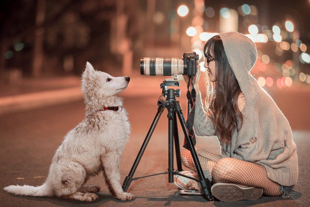 Pet Calendar 2026 - A Complete List of Special Pet Holidays