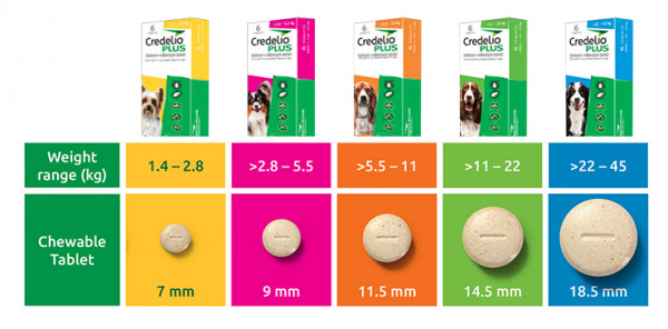 Everything You Need to Know About Credelio Plus - CanadaPetCare Blog