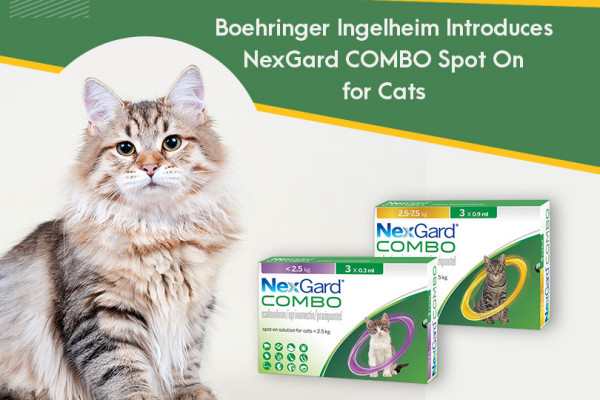 Newly Launched Nexgard Combo Spot-on For Cats by Boehringer Ingelheim