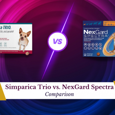 Simparica Trio vs. NexGard Spectra: 2024 Comparison