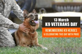 Remembering K9 Heroes and Celebrating this Day with Pride
