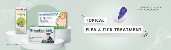 Which Flea & Tick Treatment is Right for Your Cat?