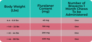 Bravecto 1-Month Chew: The Complete Dog Owner's Guide