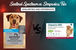 Simparica Trio vs. Sentinel Spectrum - Similarities and Differences
