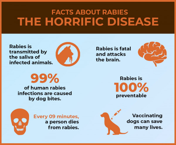 World Rabies Day 2023 - Protect Your Dog from Rabies
