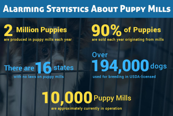 Puppy Mill Awareness Day 2023 - Exposing the Dark Truth
