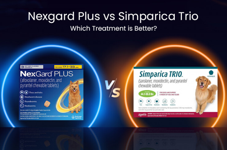 Simparica Trio vs. NexGard Spectra: 2023 Comparison