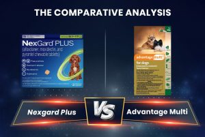 Nexgard Plus & Advantage Multi - The Comparative Analysis ...