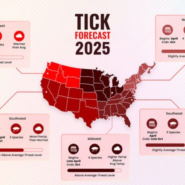 Flea & Tick Season in the USA: State-by-State Guide for 2024
