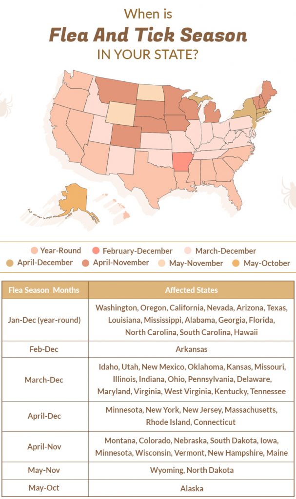 Flea & Tick Season in the USA: State-by-State Guide for 2024