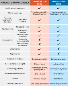 Interceptor Plus Or Heartgard Plus – Which Worm Treatment is Better ...
