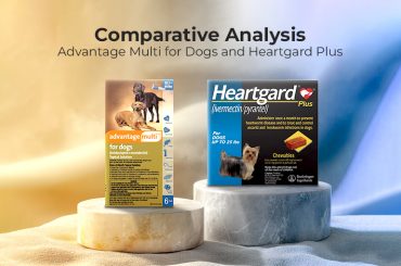 Heartgard Vs. Generic Nuheart - CanadaPetCare Blog