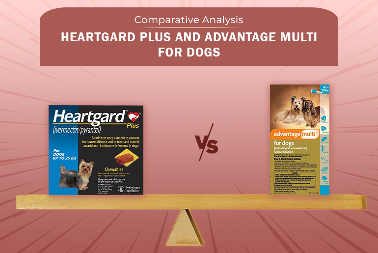 Comparative Analysis: Heartgard Plus and Advantage Multi for Dogs ...