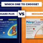 NexGard Plus vs. NexGard- Which One to Choose?