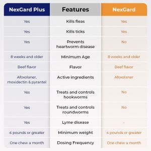 NexGard Plus vs. NexGard- Which One to Choose?
