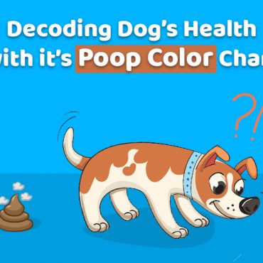 Decoding Dog’s Health with Dog Poop Color Chart - CanadaPetCare Blog