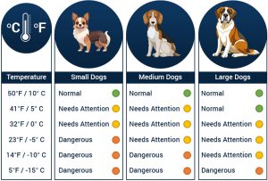 When Is It Too Cold for Your Dog? [Temperature Guide Included]