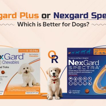 Nexgard Plus or Nexgard Spectra: Which is Better for Dogs?