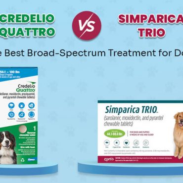 Credelio Quattro vs. Simparica Trio [Comparison Chart]