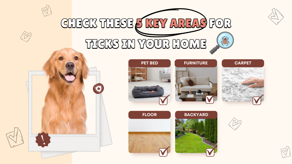 Tick Guide: 7 Common Ticks Found on Dogs and Cats
