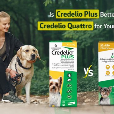 Credelio Quattro for Dogs: Broad-Spectrum Parasite Protection
