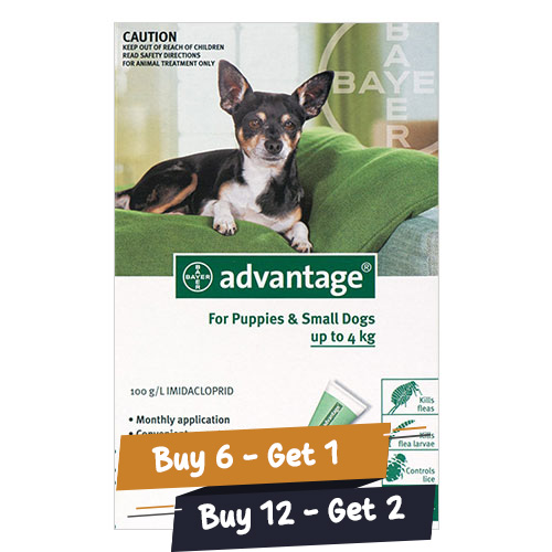 Advantage for Dogs : Buy Advantage for Dogs Online at lowest Price in ...