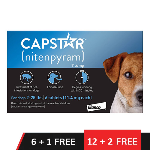 Capstar for Dogs : Buy Capstar for Dogs Online at lowest Price in US ...