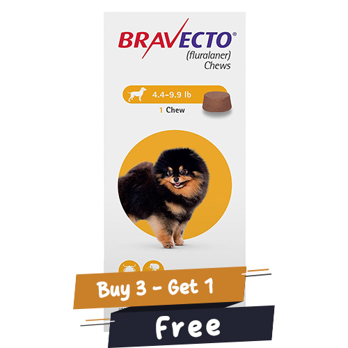 Bravecto Chews for Dogs - 3 Month Supply - Fast Delivery