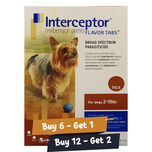 Buy Interceptor For Extra Small Dogs 2-10 Lbs (Brown) - Free Shipping