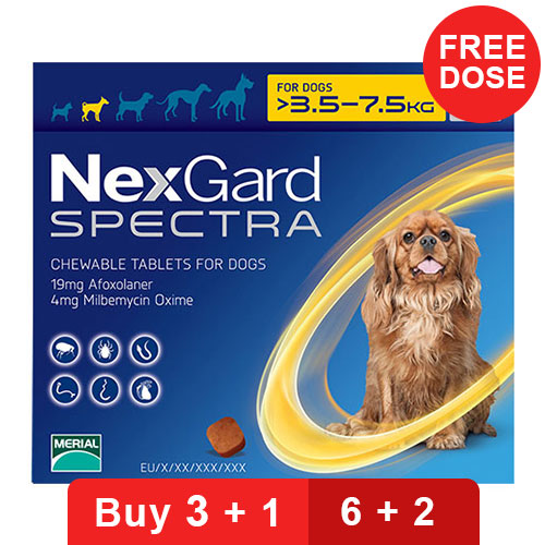 Nexgard Spectra for Dogs : Buy Nexgard Spectra Chewable Tablets